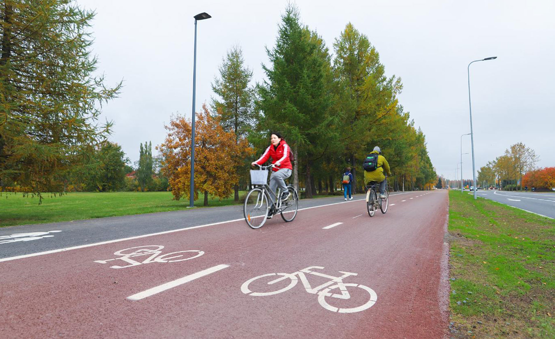 Case Study Areas – Transformative Cities